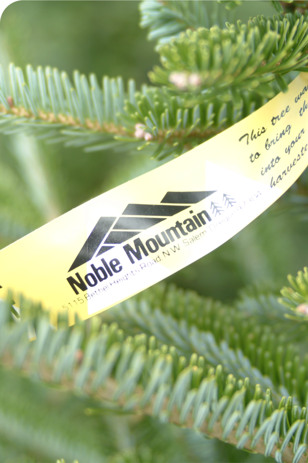 About Us - Noble Mountain Tree Farm