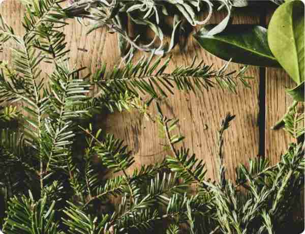 Products - Noble Mountain Tree Farm